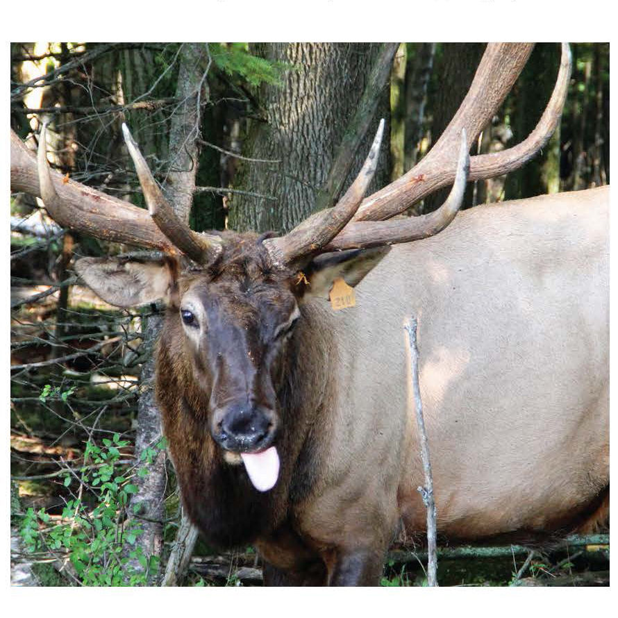 Feast: Recipes and Stories from a Canadian Road Trip – eatdrink Magazine